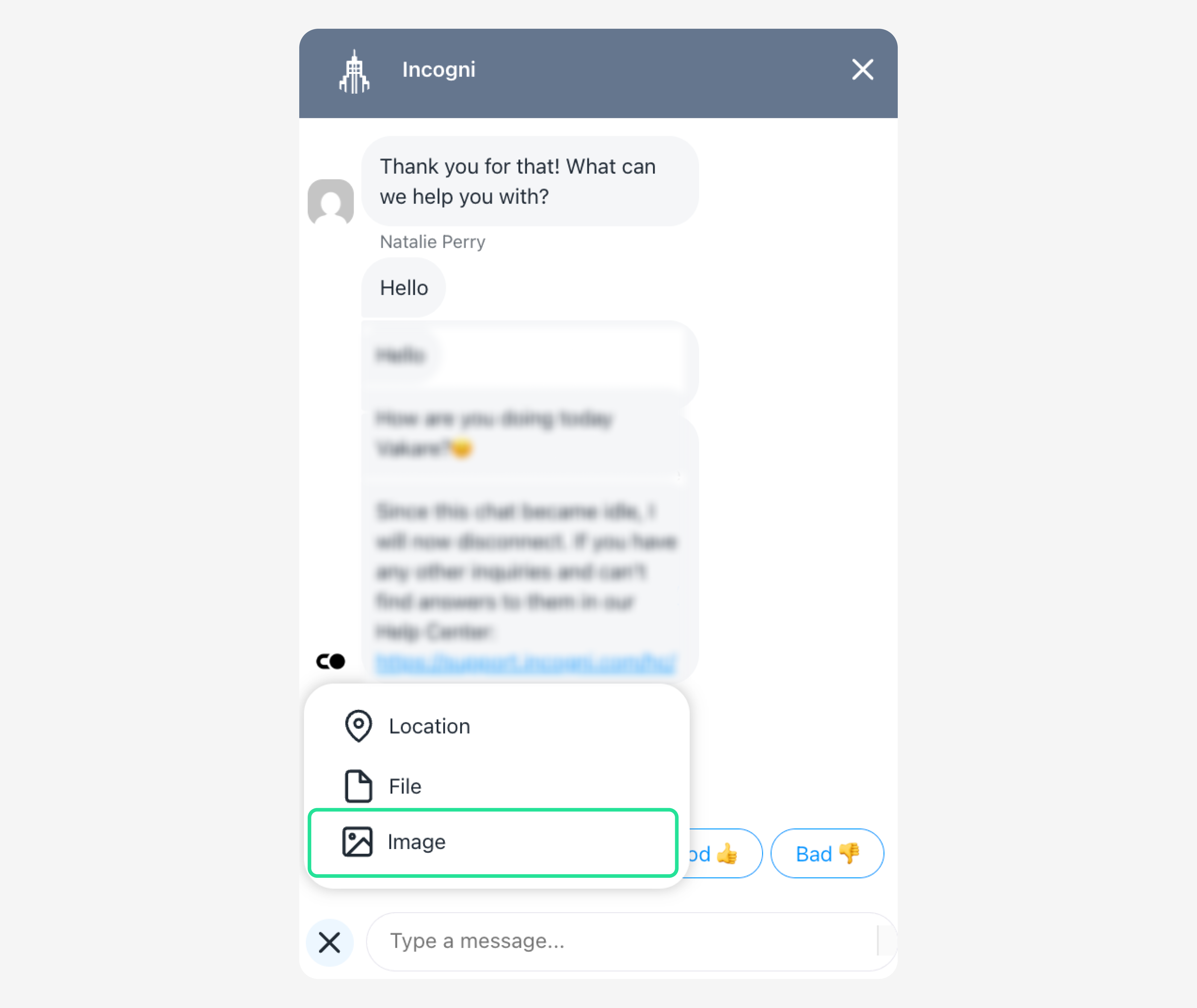 How to send a screenshot to Incogni's support team via live chat ...